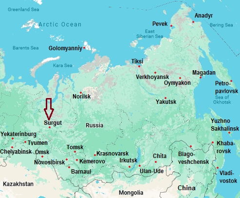 Clima Surgut: stagioni, medie mensili - Climi e Viaggi